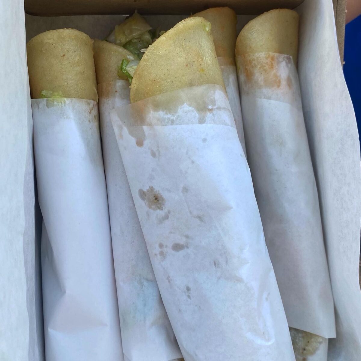 The Big Fresno Fair | Blog